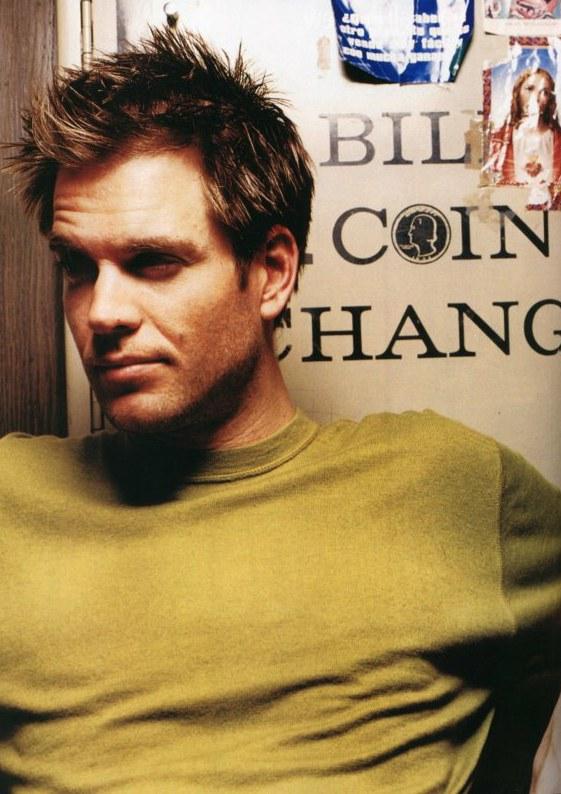 Picture of Michael Weatherly