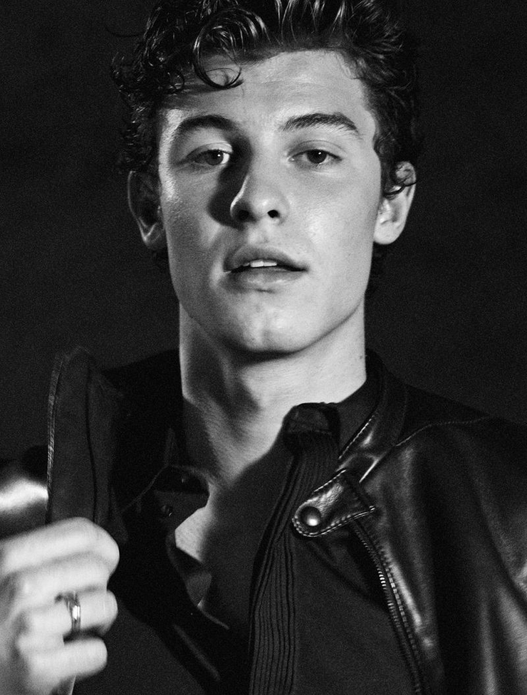 Picture of Shawn Mendes