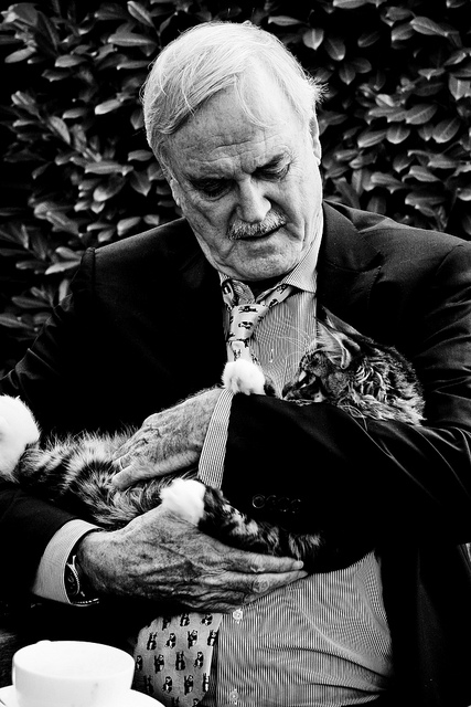 Picture of John Cleese