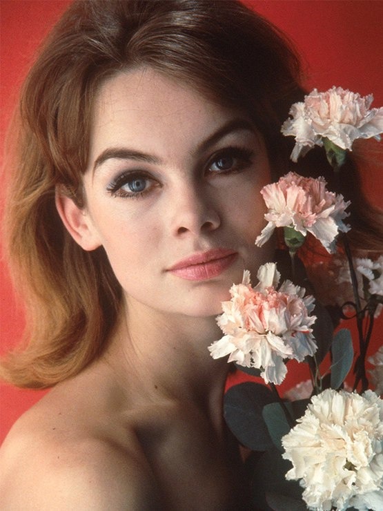 Picture of Jean Shrimpton