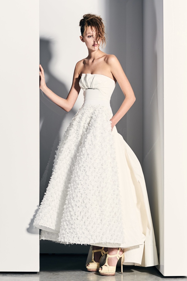 Picture of bella brown