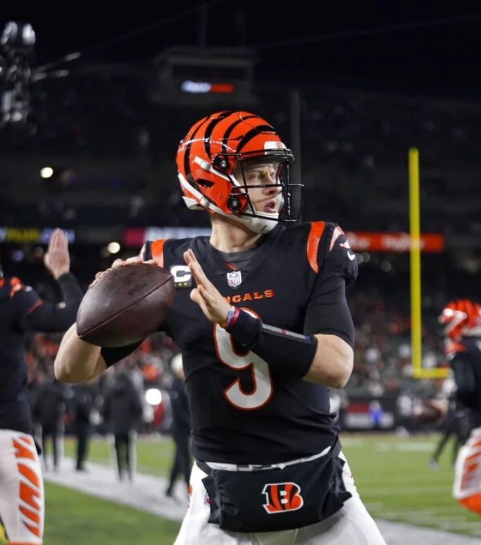 Joe Burrow picture