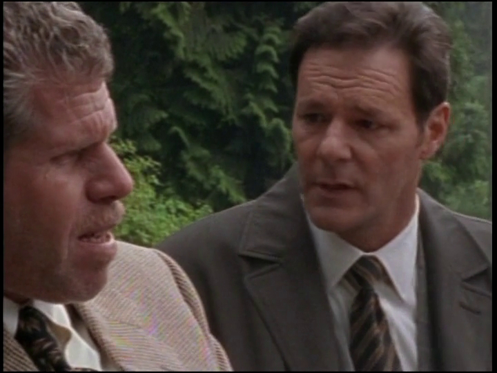 Picture of The Outer Limits (1995-2002)