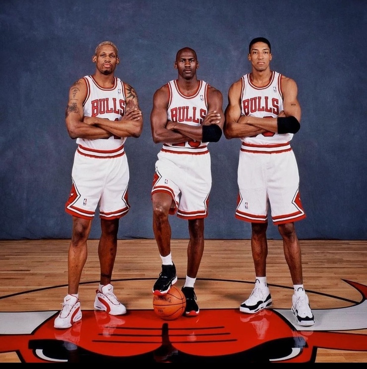 Picture of Dennis Rodman