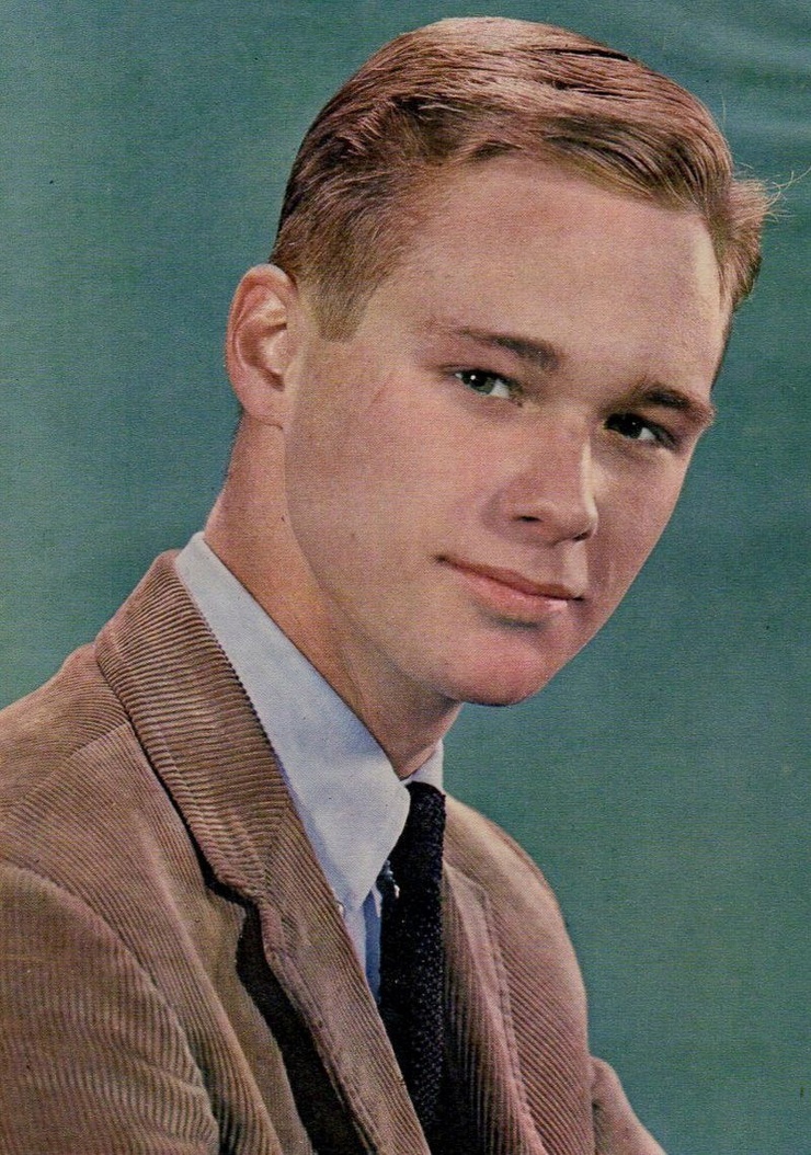 Picture of Brandon De Wilde