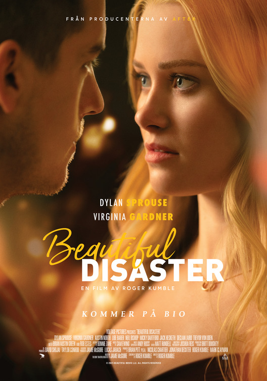 Picture of Beautiful Disaster