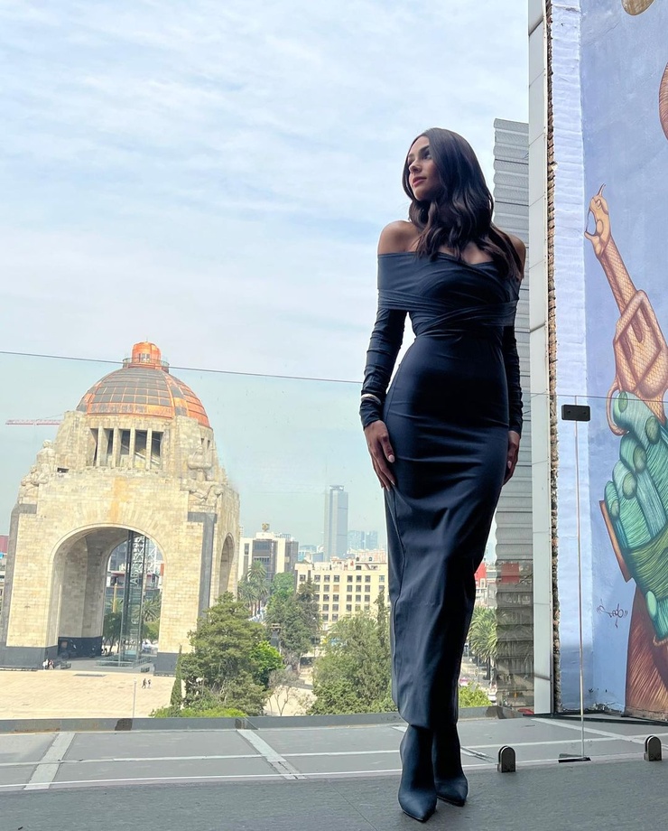 Renata Notni picture