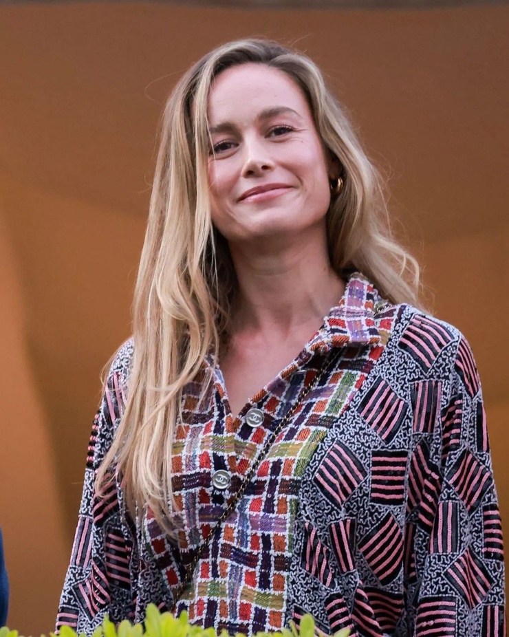 Picture of Brie Larson