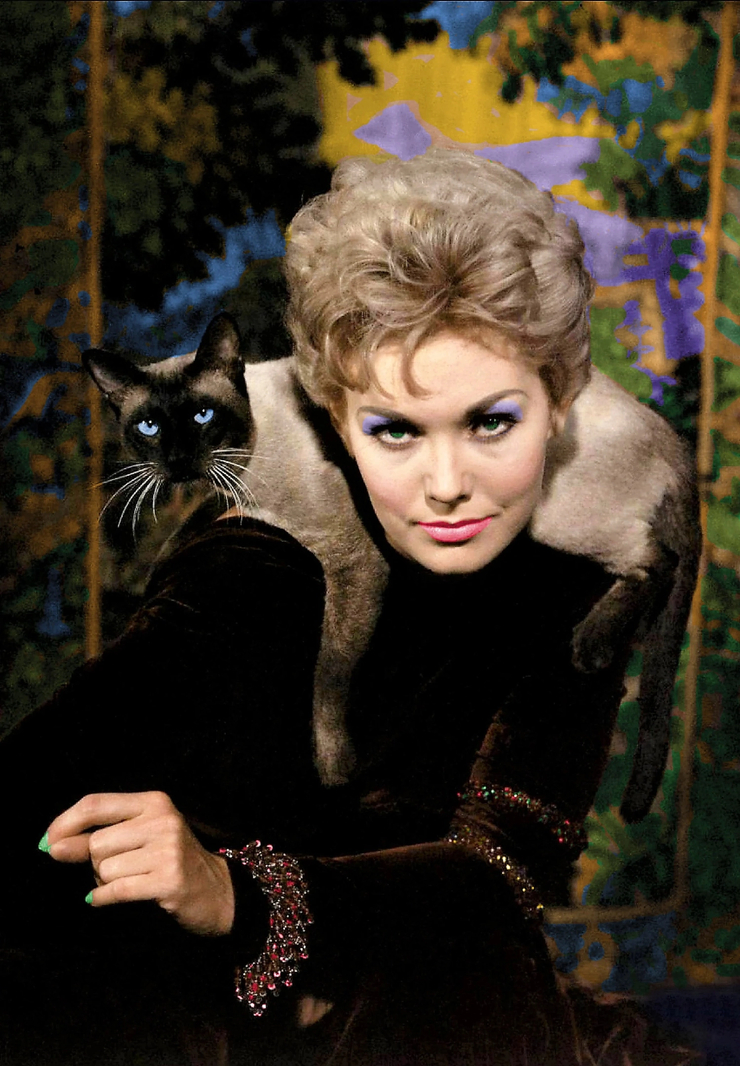 Picture of Kim Novak