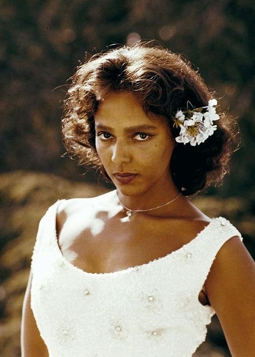 Picture of Dorothy Dandridge