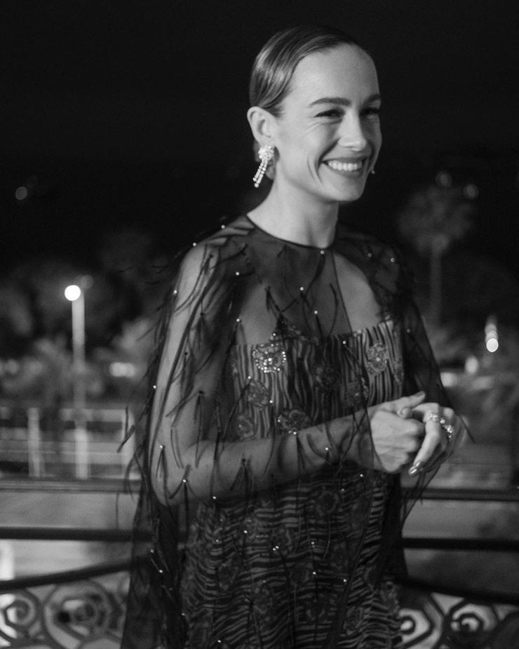 Picture of Brie Larson