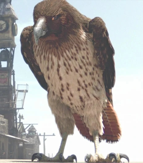 Hawk (Rango) picture