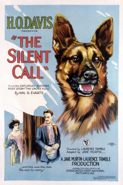 The Silent Call (1921)