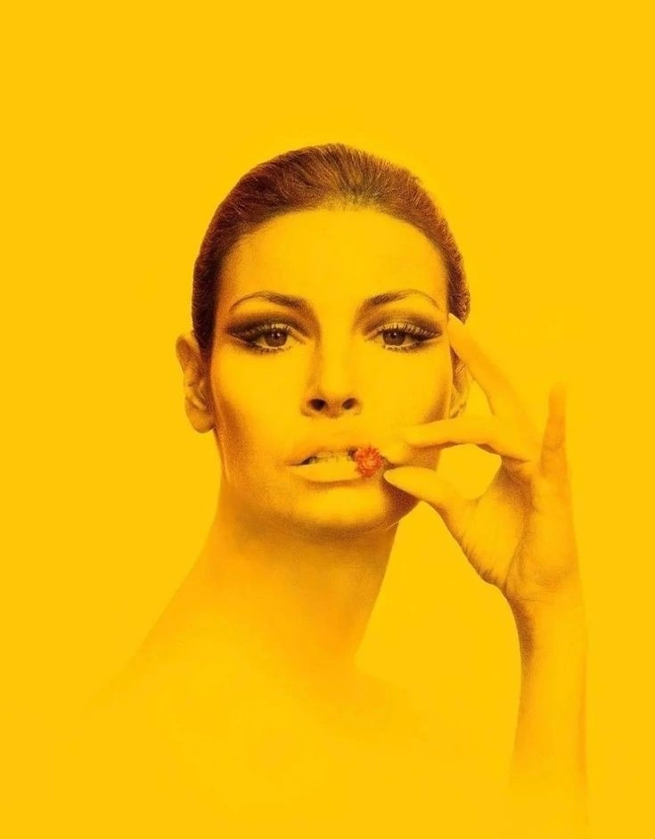 Picture of Raquel Welch