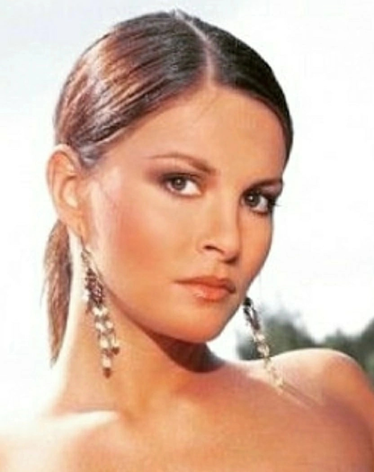 Picture of Raquel Welch