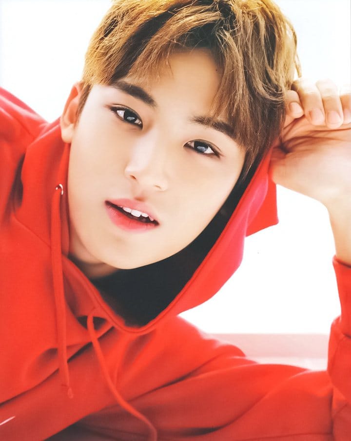 Mingyu image