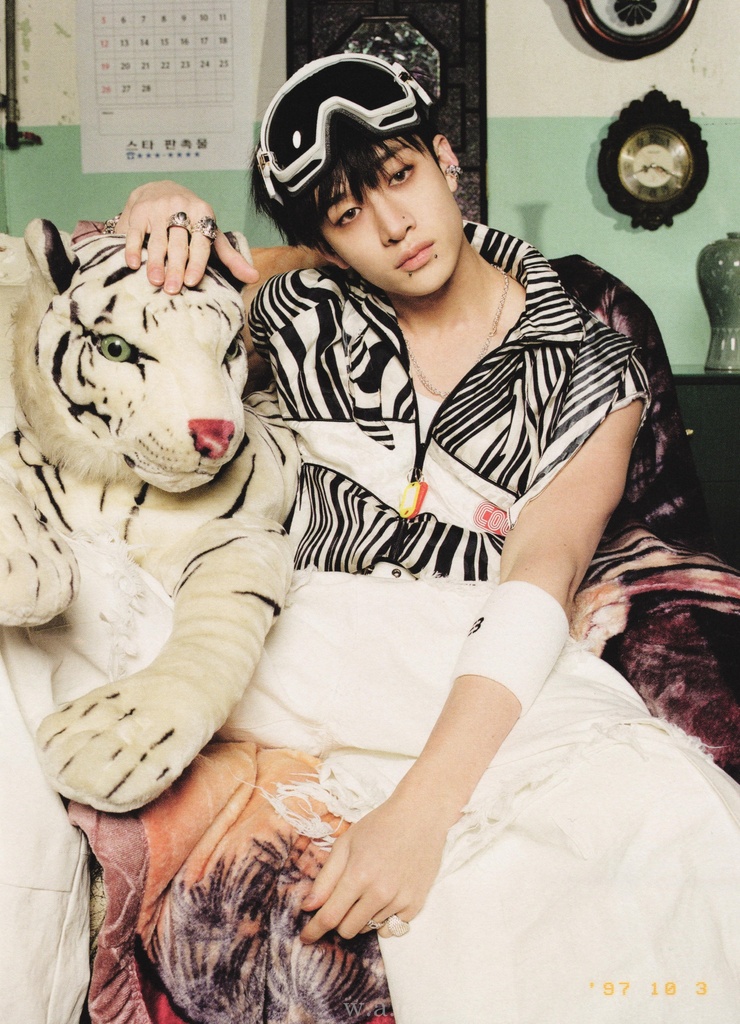 Picture of Bang Chan