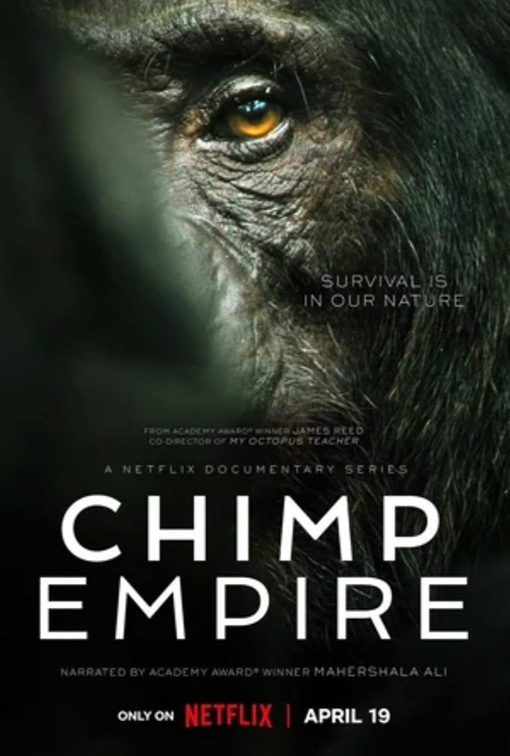 Picture of Chimp Empire