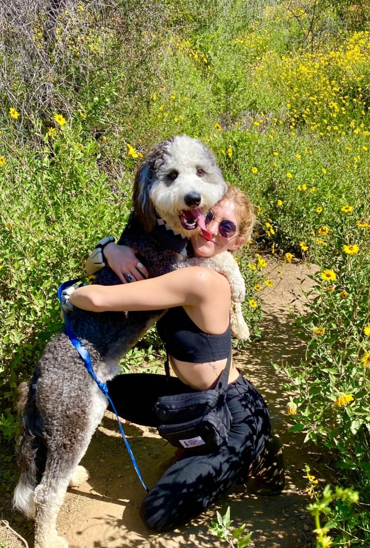 Picture of Willow Shields