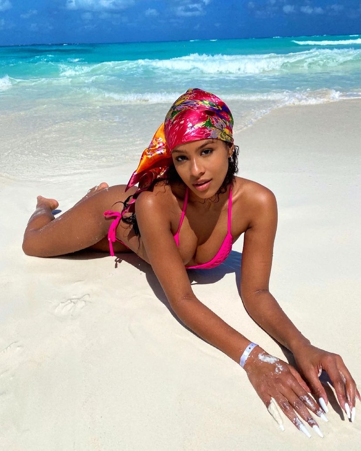 Amanda Williams image