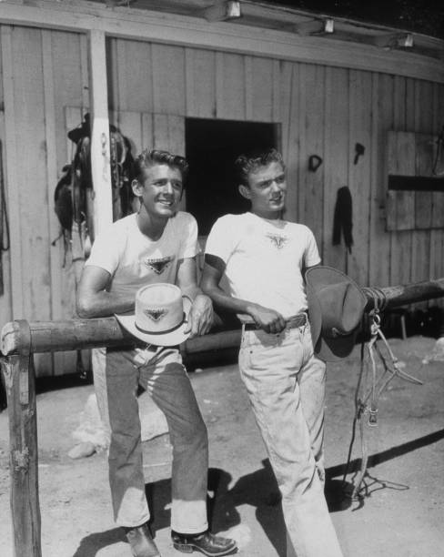 David Stollery, Tim Considine