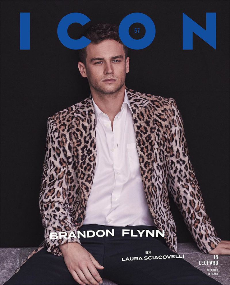 Brandon Flynn image