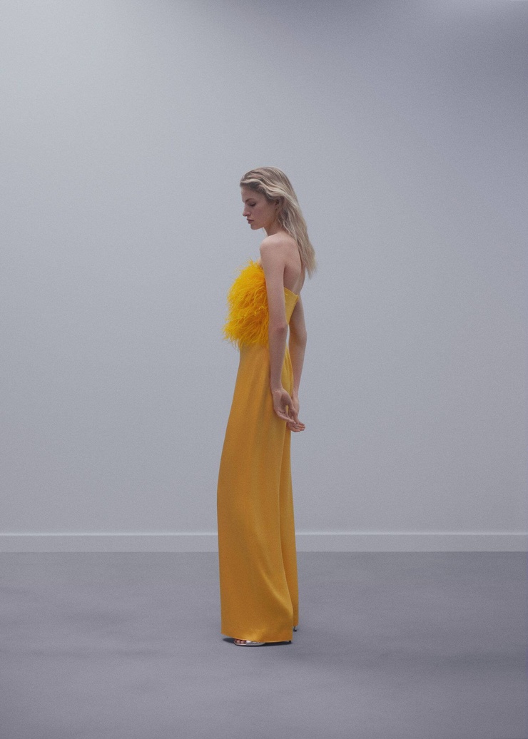 Picture of Felice Noordhoff