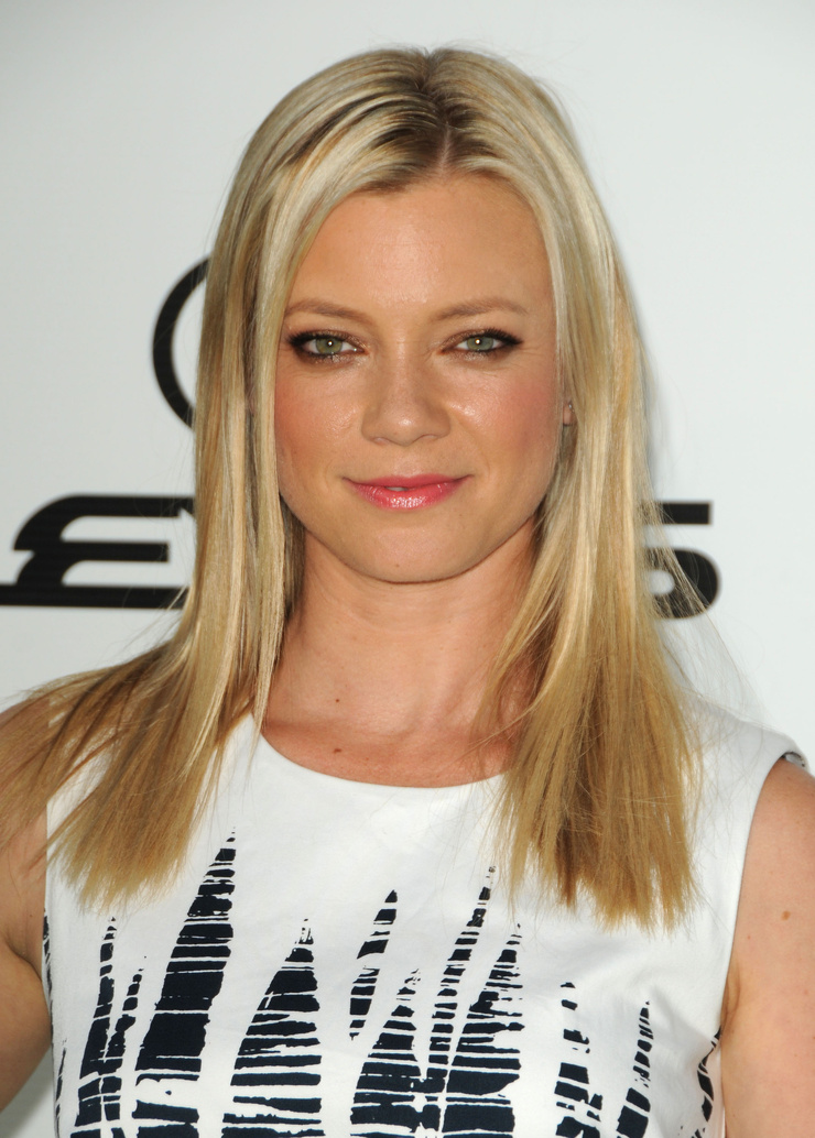 Picture of Amy Smart