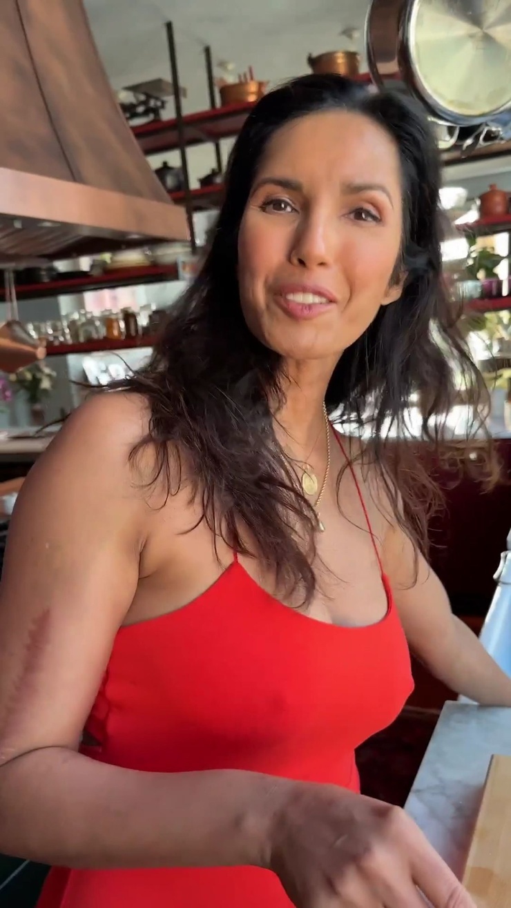 Picture of Padma Lakshmi