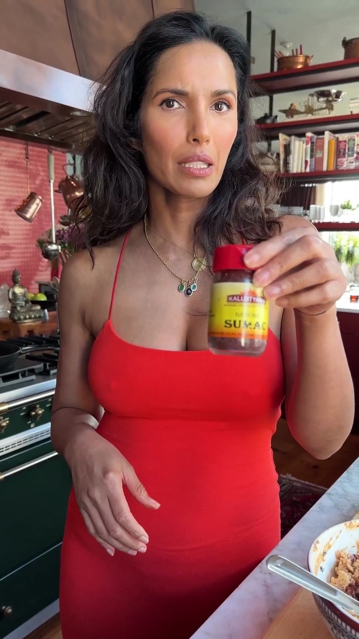 Picture of Padma Lakshmi