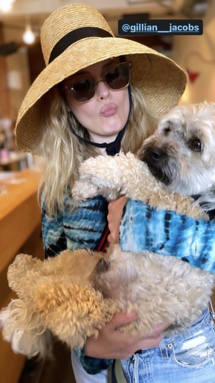 Picture of Gillian Jacobs