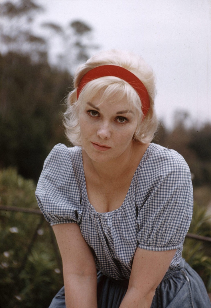 Picture of Kim Novak