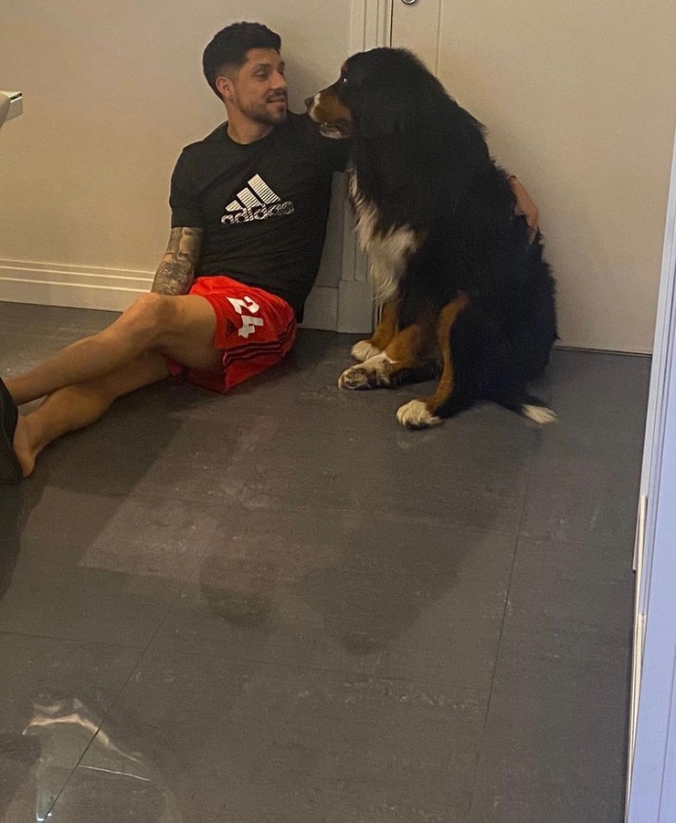 Picture of Enzo Pérez