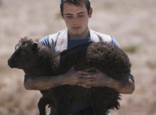 Picture of Isaac (Edaan Moskowitz)