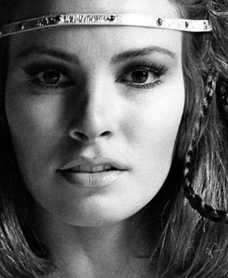 Picture of Raquel Welch