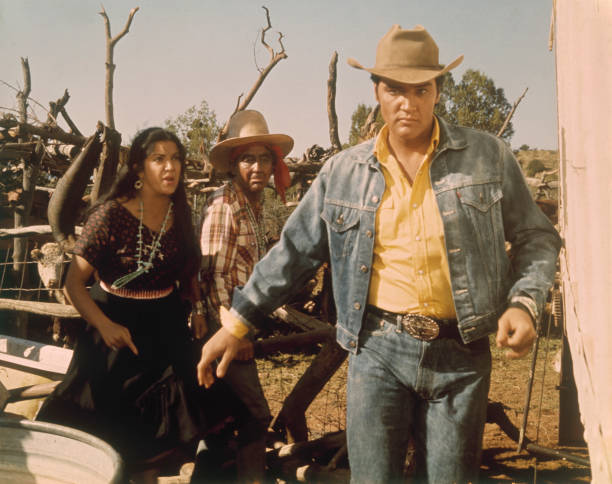 Stay Away, Joe (1968)