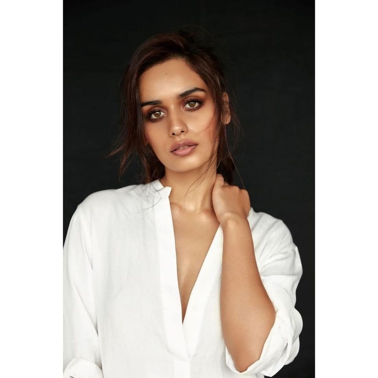 Manushi Chhillar picture