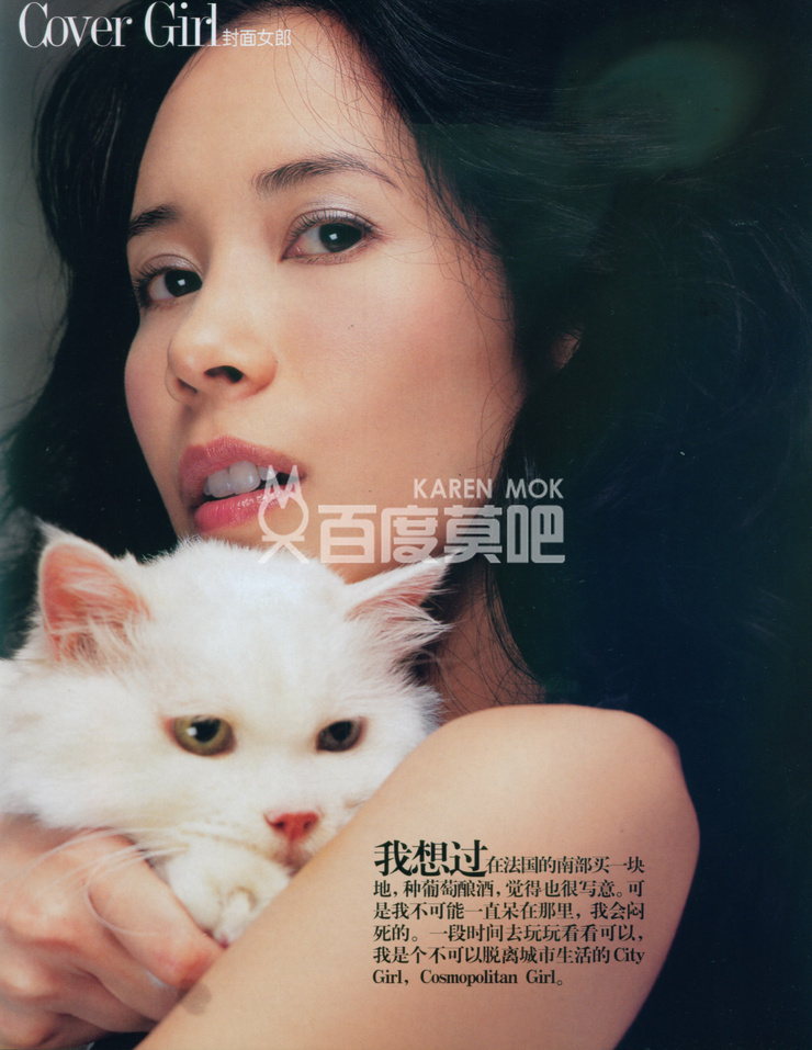 Picture of Karen Mok