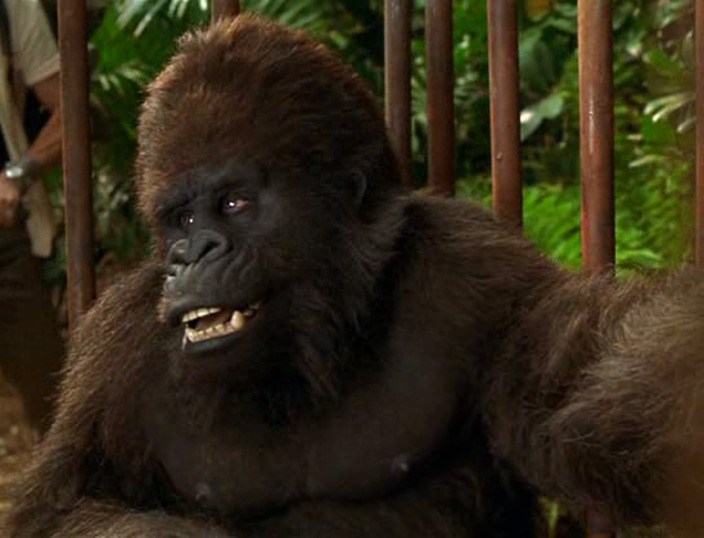 Picture of George of the Jungle