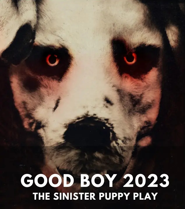 Picture of Good Boy