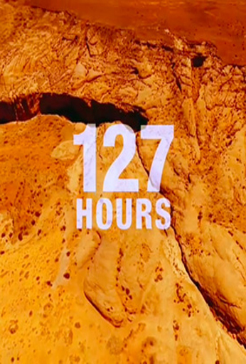 Picture of 127 Hours (2010)
