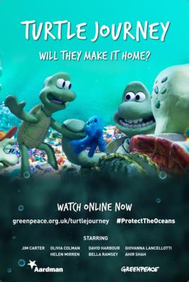 Picture of Turtle Journey (2020)