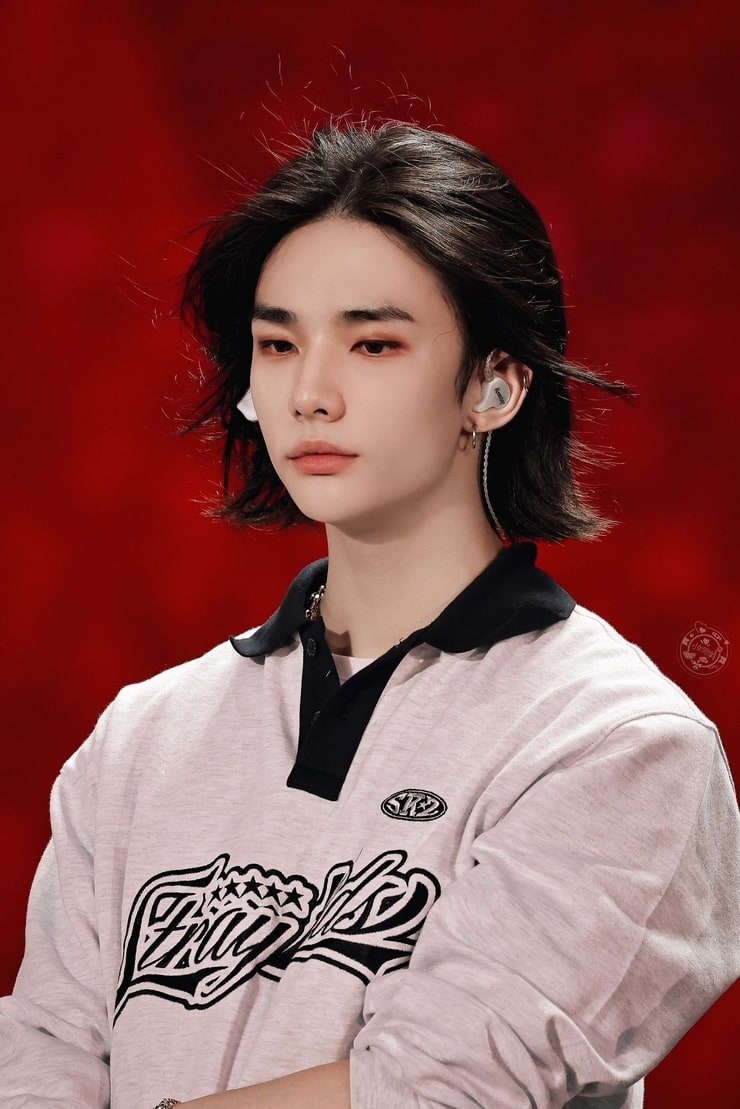 Hyun-Jin Hwang picture