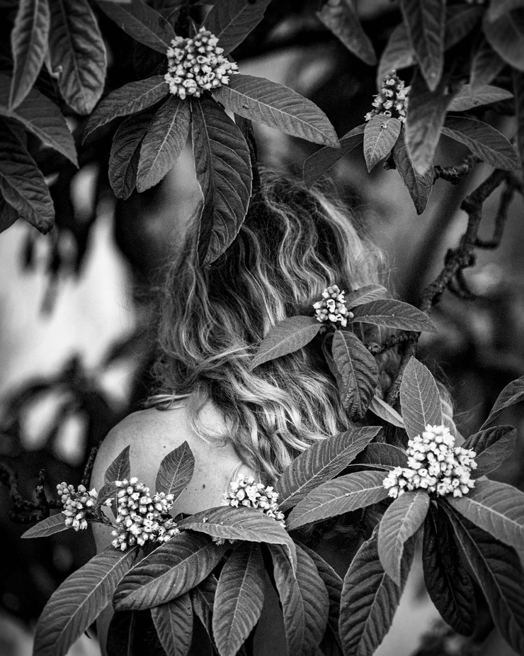 Amedea Marie picture