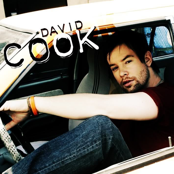 Picture of David Cook