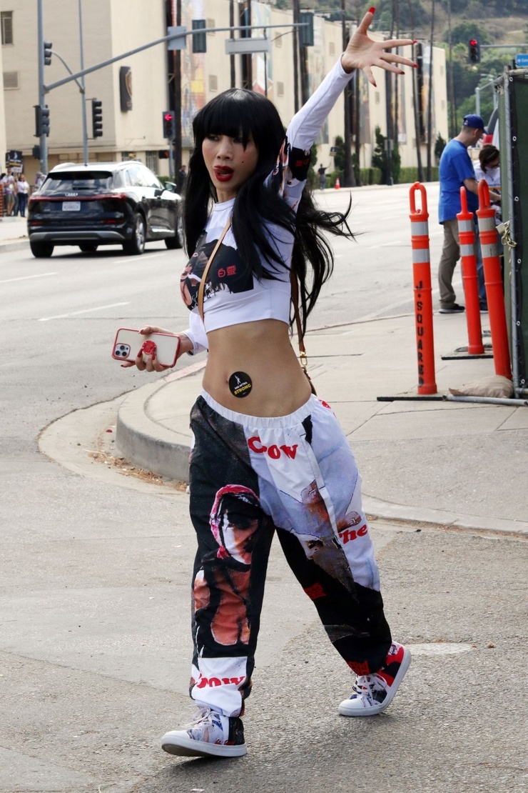 Picture of Bai Ling