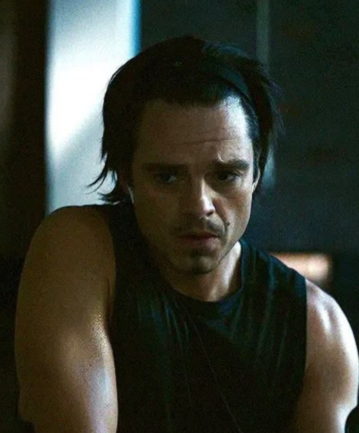Picture of Sebastian Stan