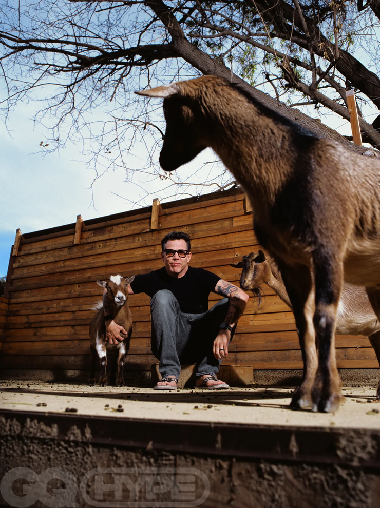 Picture of Steve-O