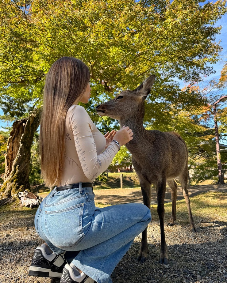 Picture of Valenti Vitell