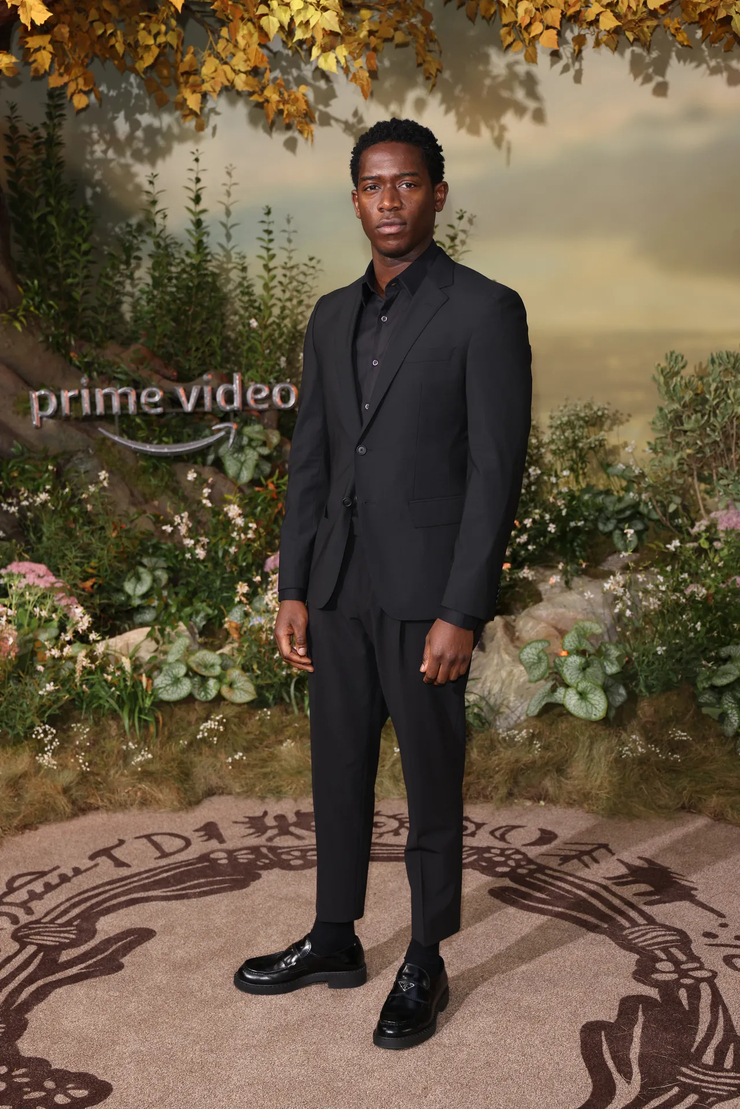 Picture of Damson Idris
